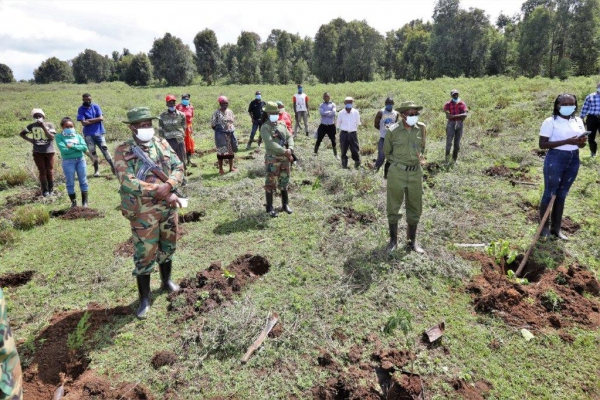 KEBS Adopts Hombe Forest in Mt.Kenya – Kenya Bureau of Standards