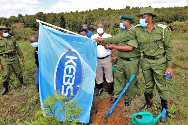 KEBS Adopts Hombe Forest in Mt.Kenya – Kenya Bureau of Standards